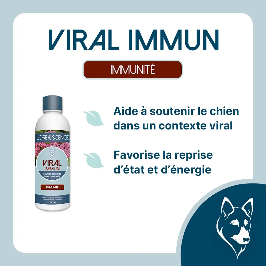 Viral Immun Dog - Viral help for dogs - Lore & Science